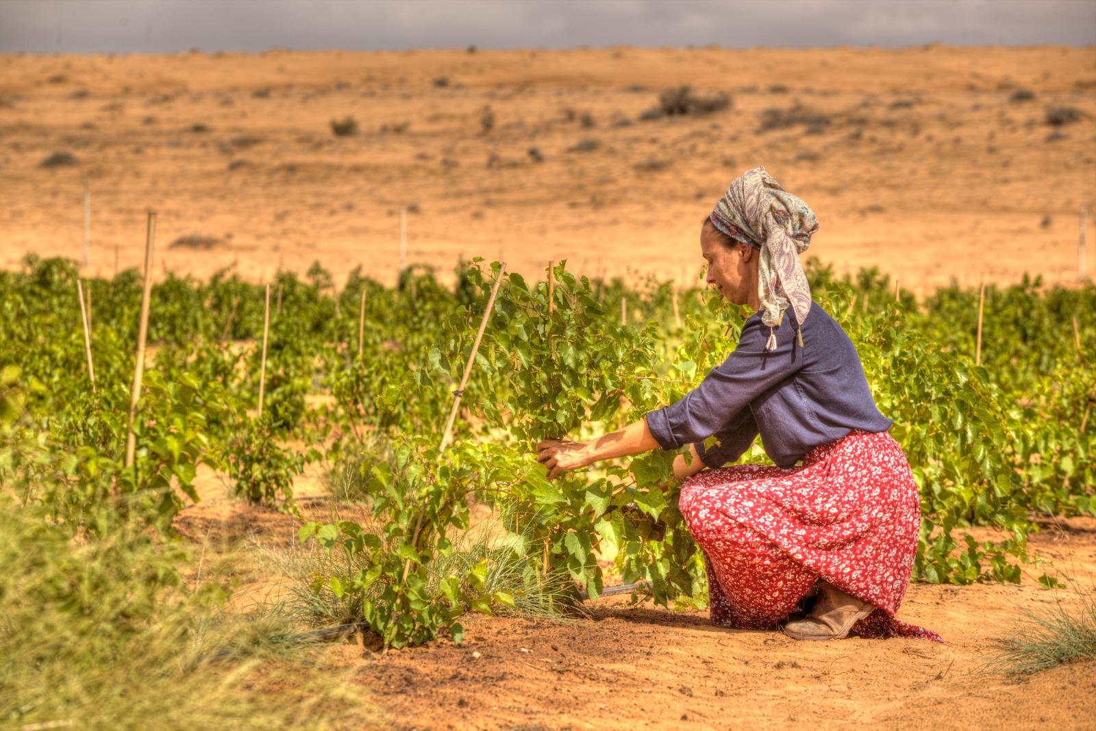 הסיפור שלנו – משק ויקב תושיה